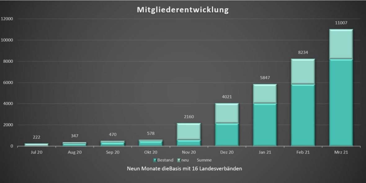 Neun Monate dieBasis - dieBasis | Basisdemokratische Partei Deutschland